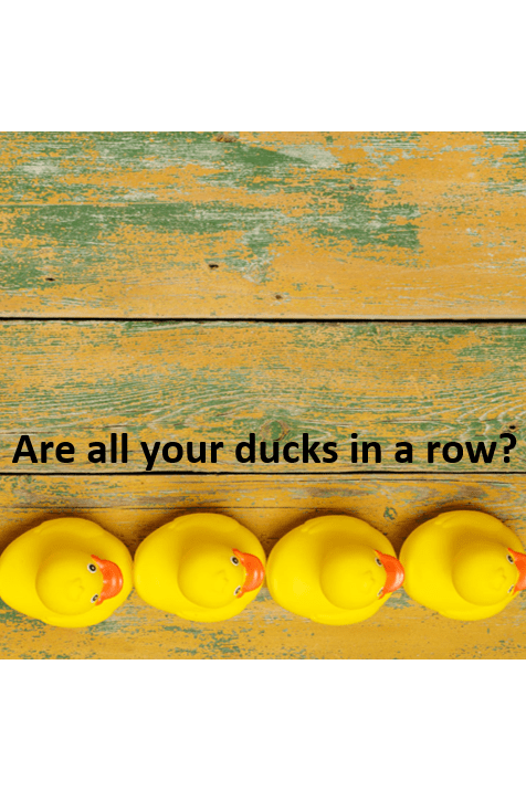 Get your ducks in a row before June 30 » TriSuper Auditors